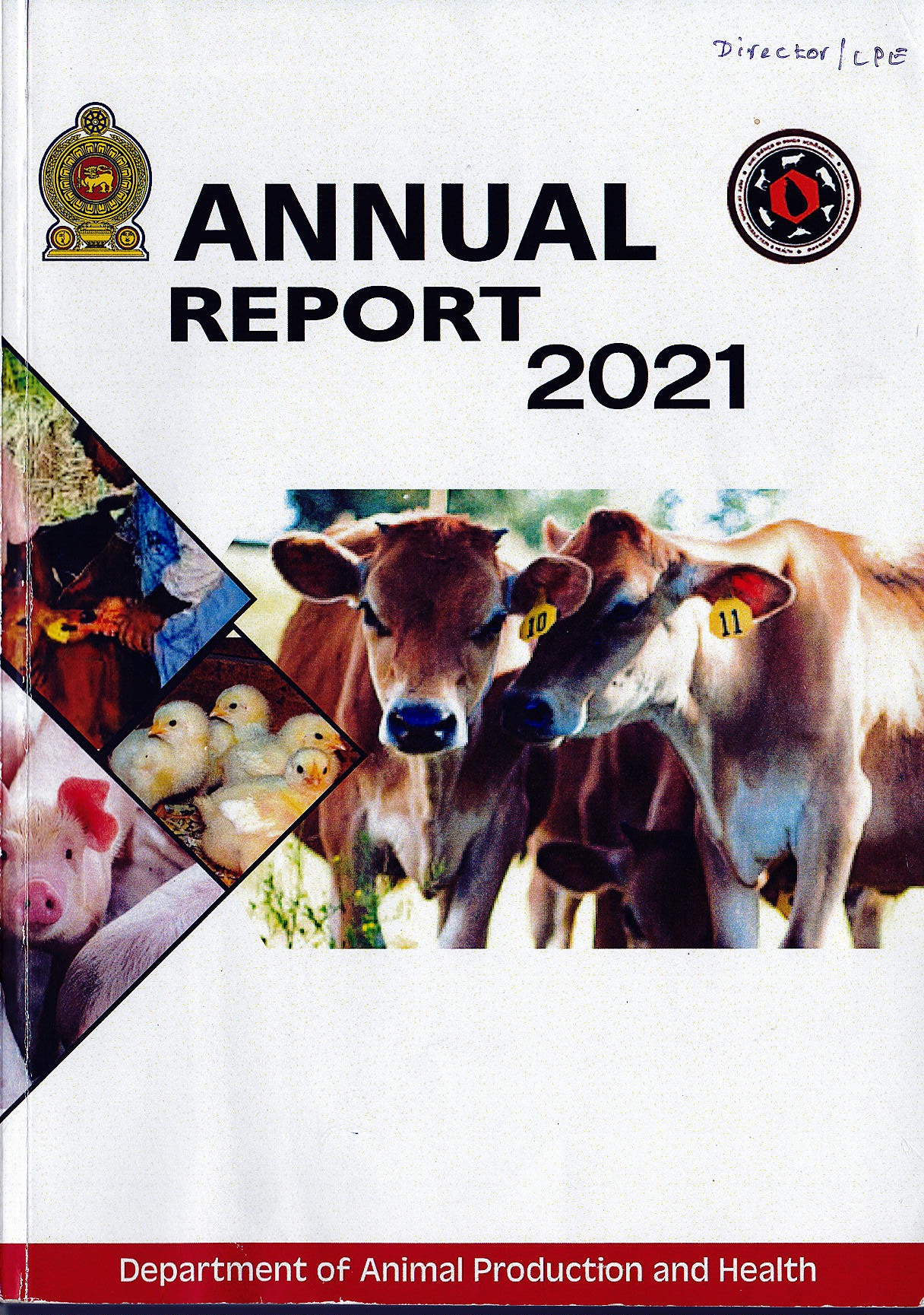 DAPH Publications - Department of Animal Production and Health